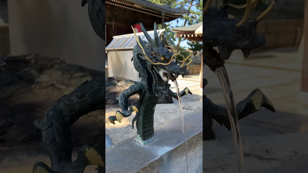 【Zentsuuji】善通寺【ASMR】 - Ciao Nihon