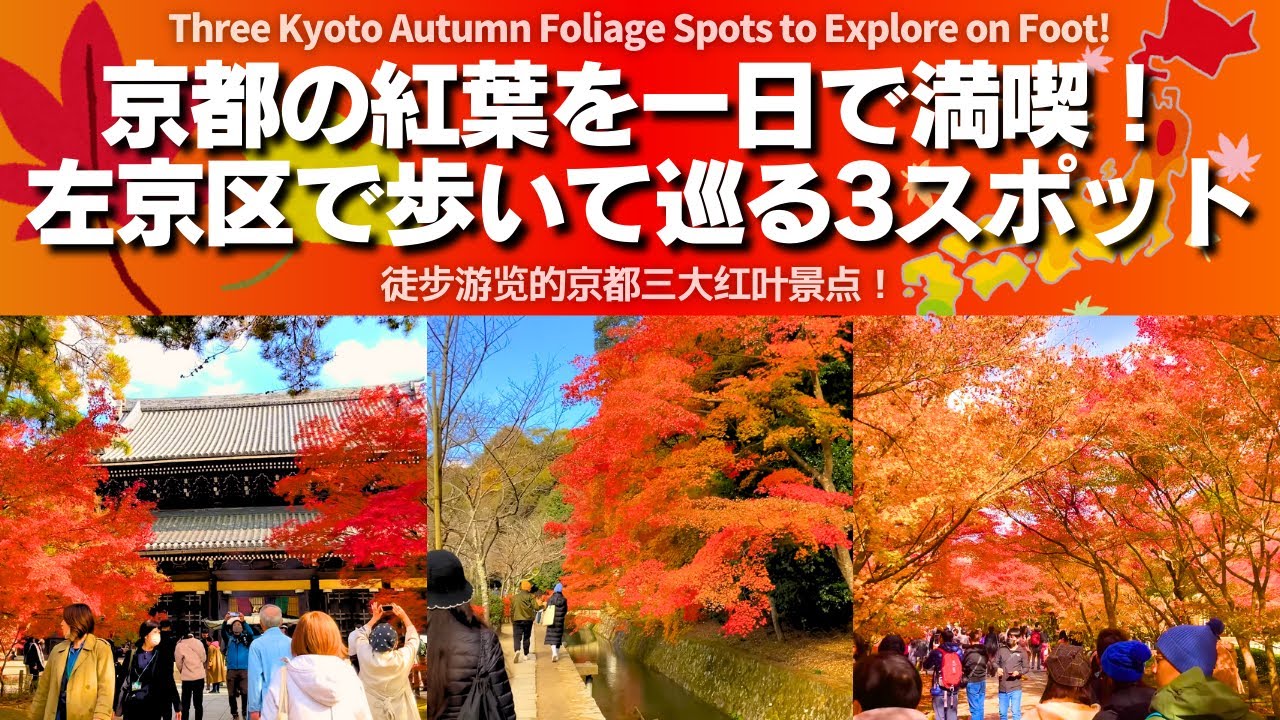 【Kyoto】3 Walkable Autumn Foliage Spots in Sakyo Ward, Kyoto - Ciao Nihon