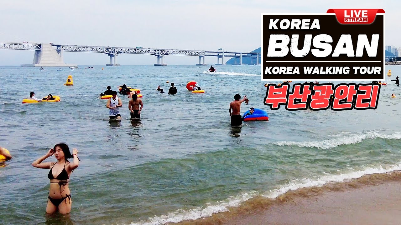 Live Busan Travel | Korea Busan Trip | Korea Night Street | Busan Beach Tour Live | Korea ...