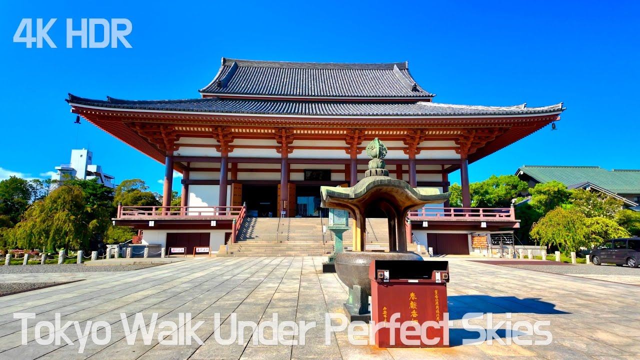 Tokyo Walk Under Perfect Skies : From Historic Temples to Local ...