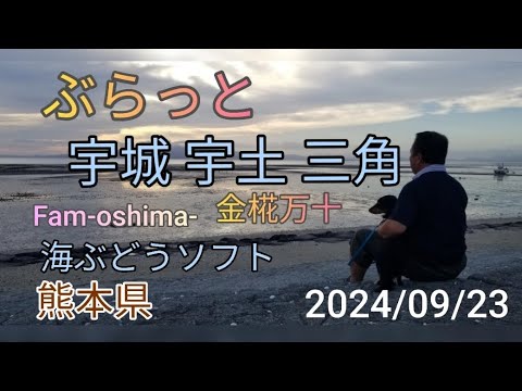 【ぶらっと 宇城 宇土 三角】#美味しい旅#ミニチュアダックスフンド #アルくん#熊本県#西区小島#Fam-oshima-#宇城#金椛万十#宇土#海ぶどうソフト#三角#海のピラミッド#犬と ...