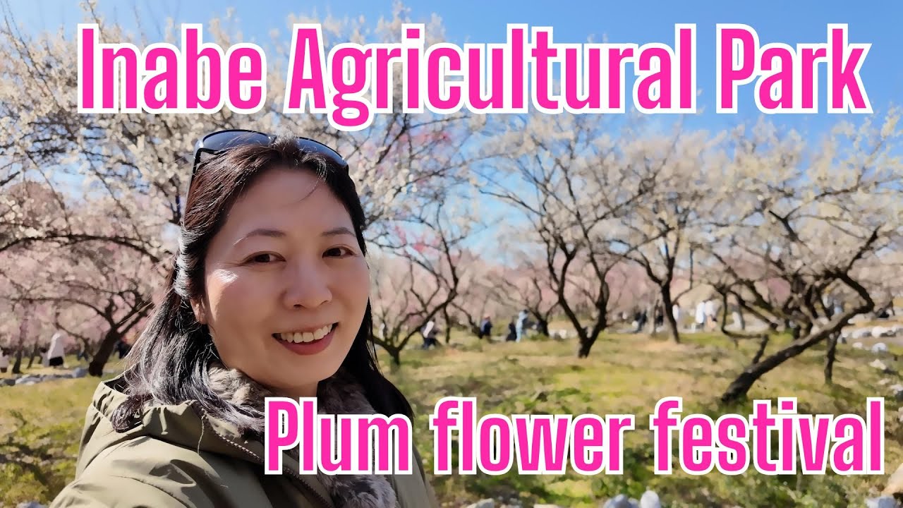 Inabe Agricultural Park Plum flower festival🌸 - Ciao Nihon