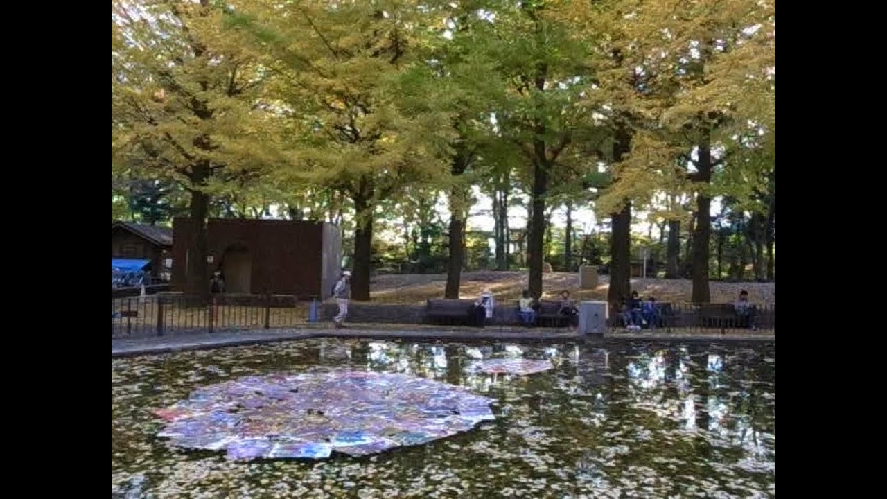 2009 秋の小平中央公園 091123-NV - Ciao Nihon
