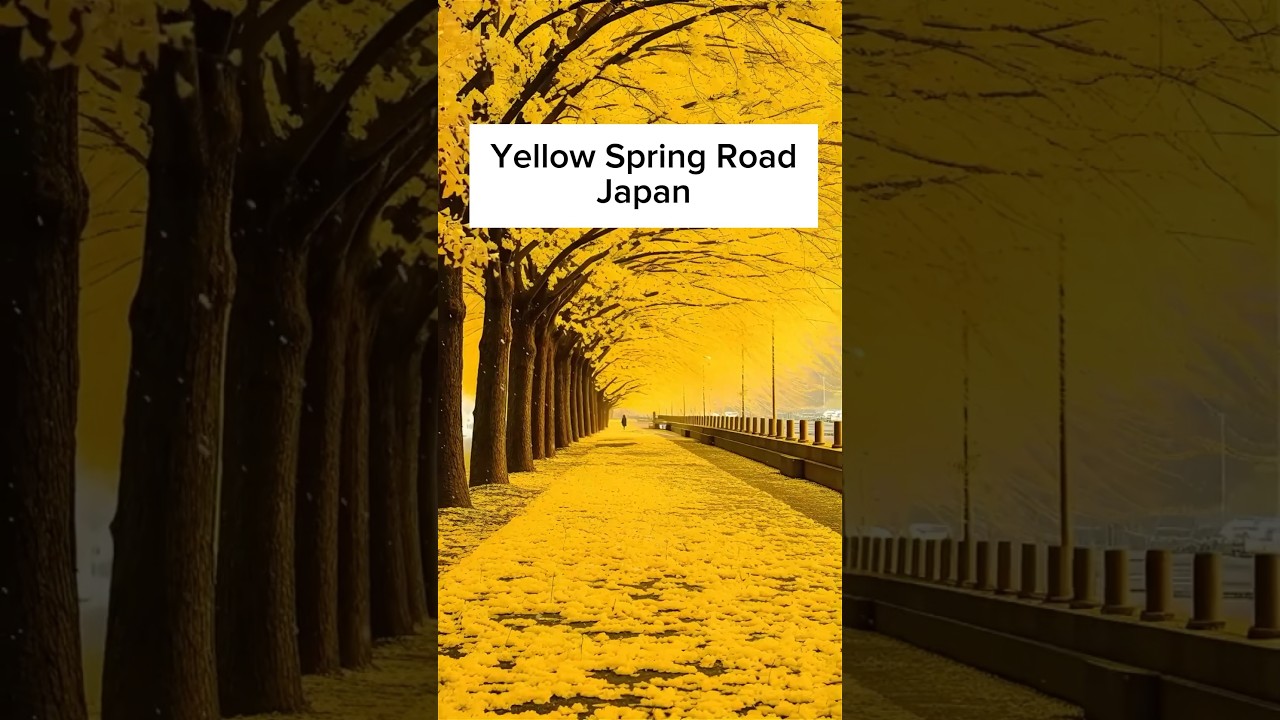 📍Yellow Spring Road Hirokawa, Japan 🇯🇵 #travel #tips #foryou #shorts ...