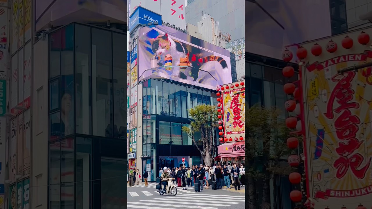 Shinjuku city -city in Japan 3D Cat: A New Level of Digital Art . Giant ...
