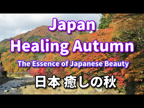 Japan - Healing Autumn - The Essence of Japanese Beauty 日本 癒しの秋 日本の美の真髄 ...