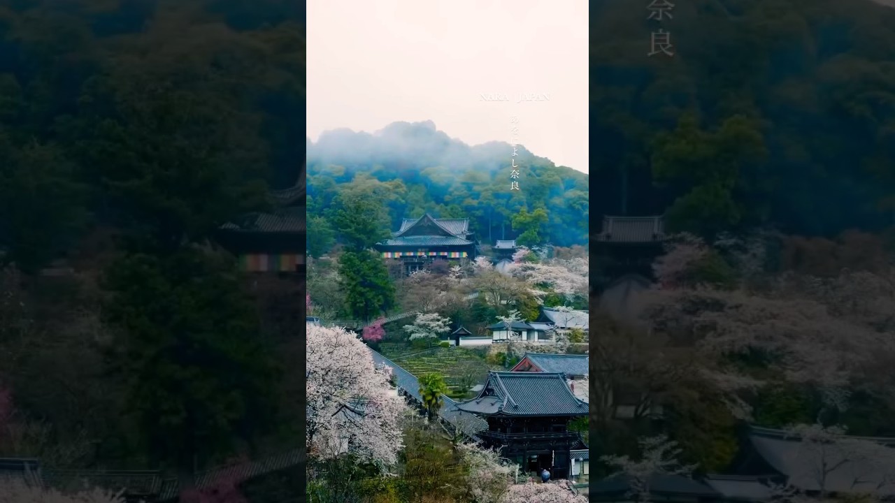 Unlocking Nara's Wonders in 2023 | Deer Park, Todaiji Temple,| Ultimate ...