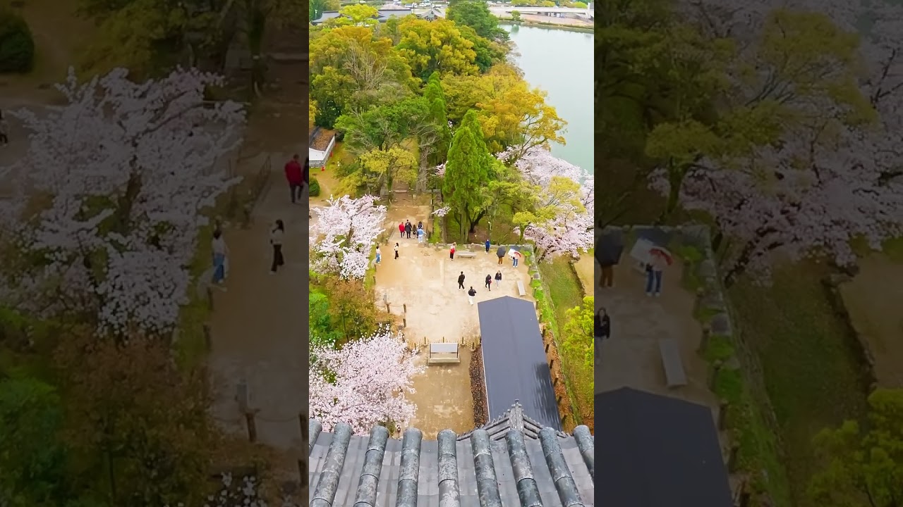🏯 Exploring Hiroshima Castle | A Glimpse into Japan's History 🇯🇵 🏯 ...
