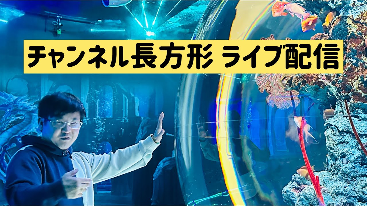 愛媛のyoutuber 長方形のライブ配信165回目 - Ciao Nihon