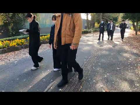 Omitama Ibaraki, Japan - Ciao Nihon