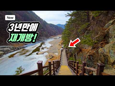 🚅 오래 기다리셨습니다! 3년만에 다시 열린 국내 최고의 '13km' 오지 트레킹 코스 | 🧭 코스 완벽 가이드 | 📸 대중교통 ...