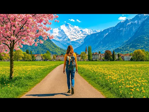 Spring has arrived in INTERLAKEN 🇨🇭 Switzerland 4K - Ciao Nihon