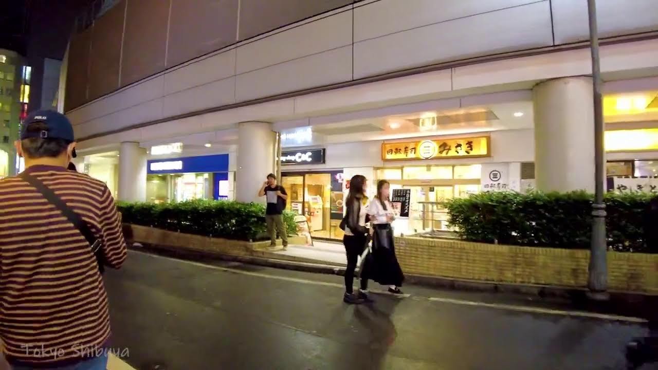 🔴Tokyo 24/7🐶Ikebukuro, Shinjuku, Akihabara, etc. - Ciao Nihon