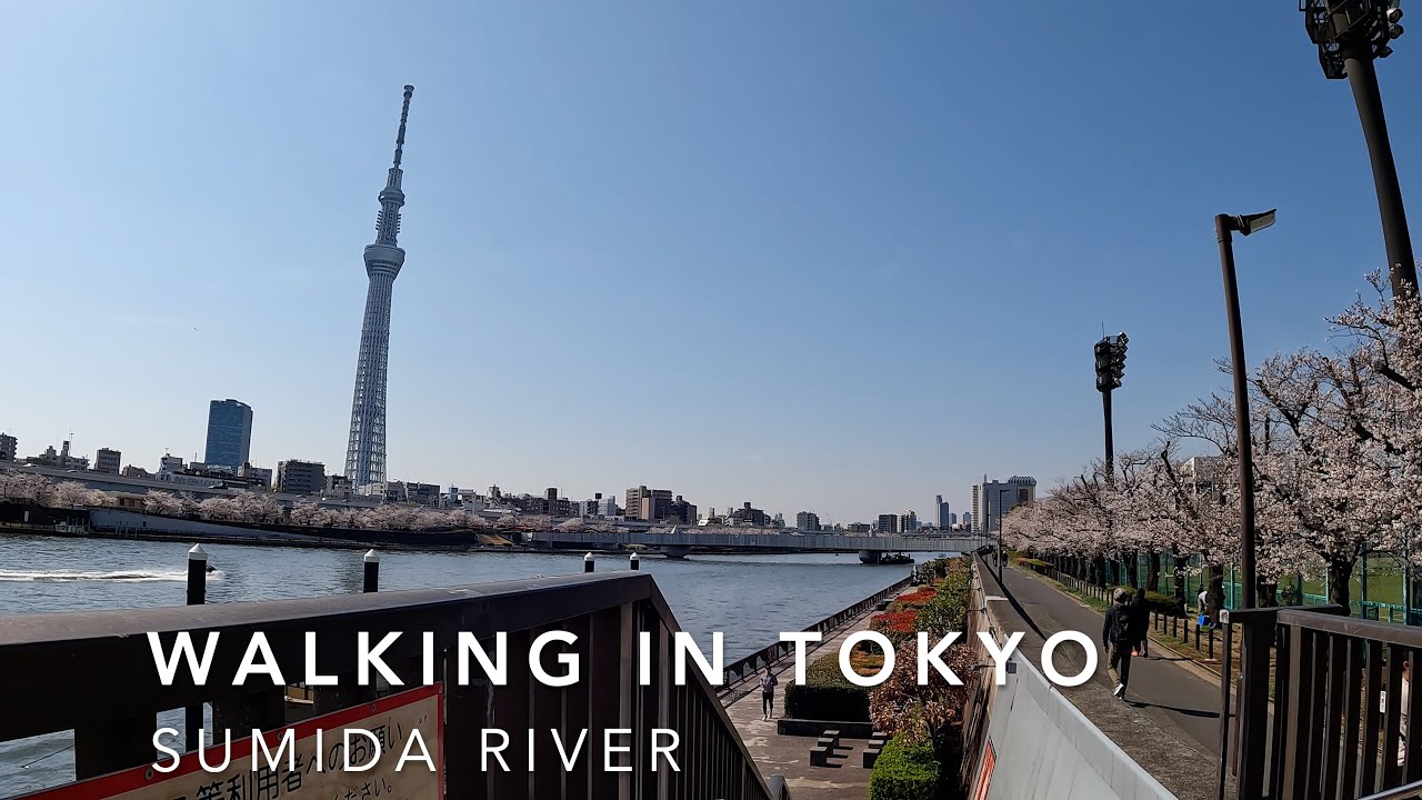 WALKING IN TOKYO/SUMIDA RIVER - Ciao Nihon
