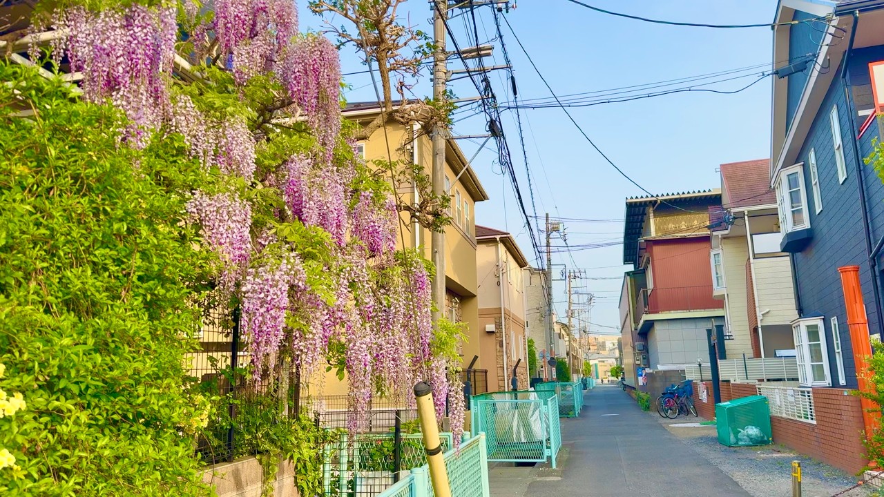 4K HDR Japan Walk - The Peaceful Weekend life in Japan | Evening ...