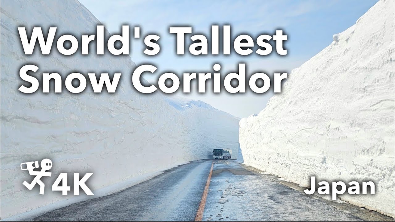 Tour of World’s Highest Snow Corridor, a magical Japanese experience ...