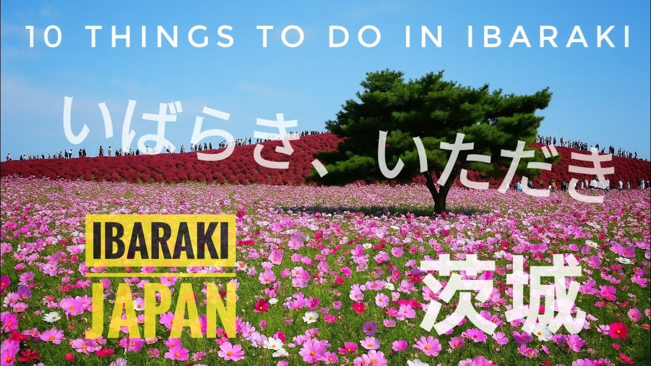 Ibaraki, Japan: 10 Things To Do in Ibaraki Prefecture - Ciao Nihon