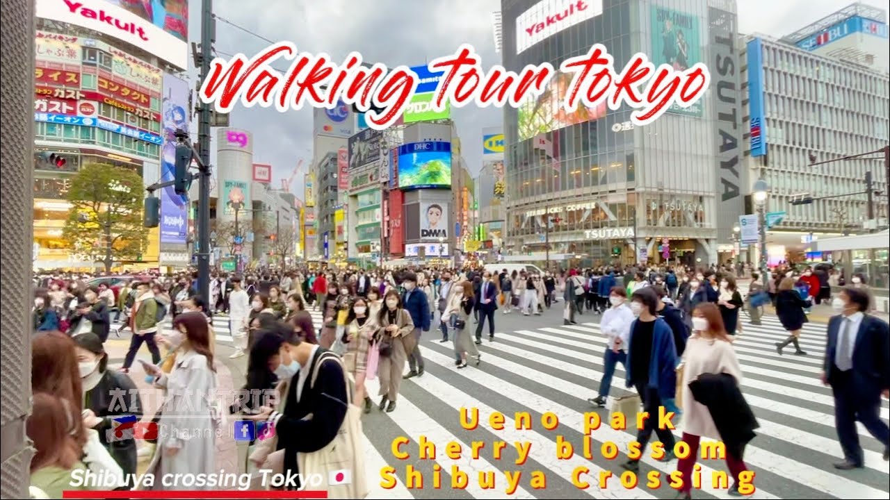 [4K] Walking tour in Tokyo | Ueno park Cherry Blossom | Travel to Tokyo by Train | Shibuya ...