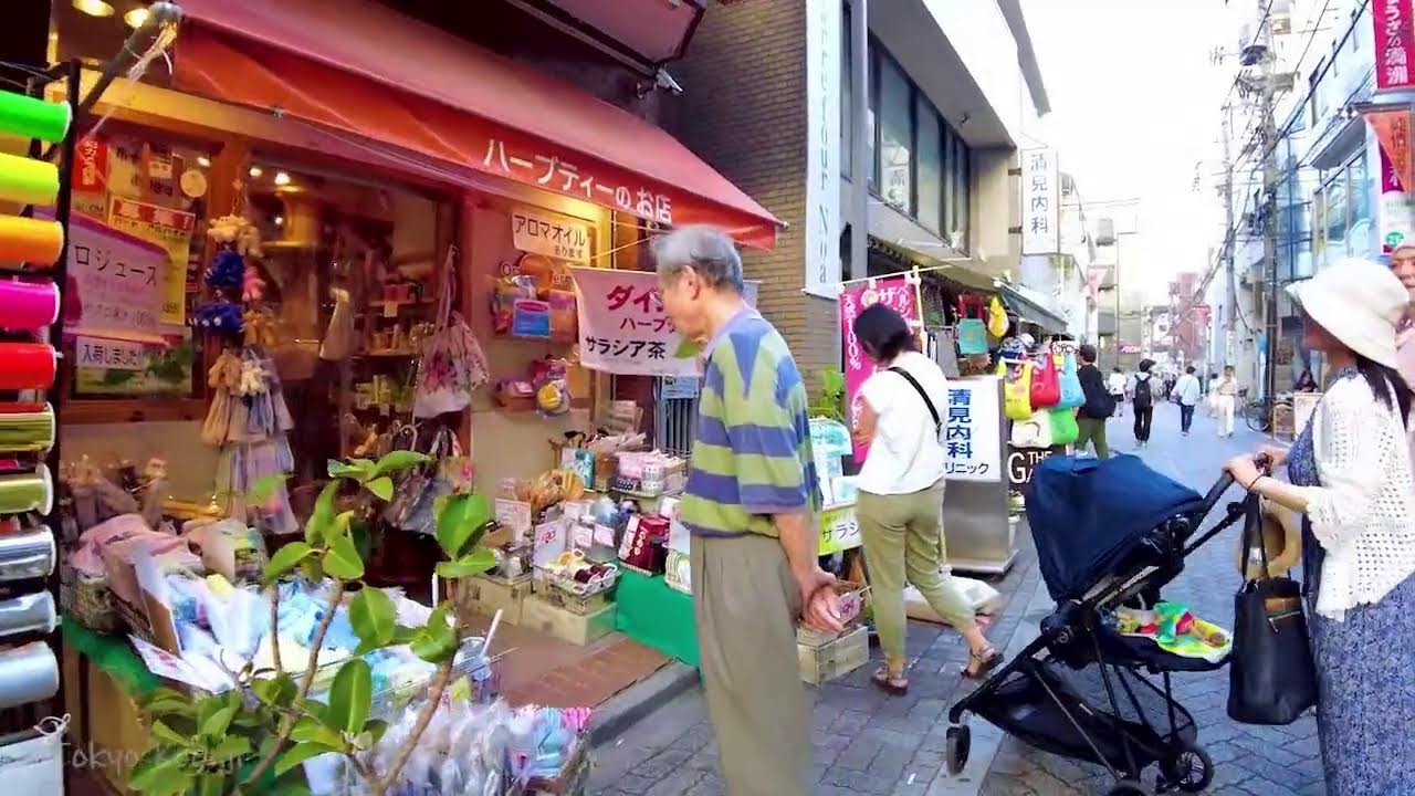 🔴Tokyo Spring 24/7🐶Ikebukuro, Akihabara, Shinjuku.etc - Ciao Nihon