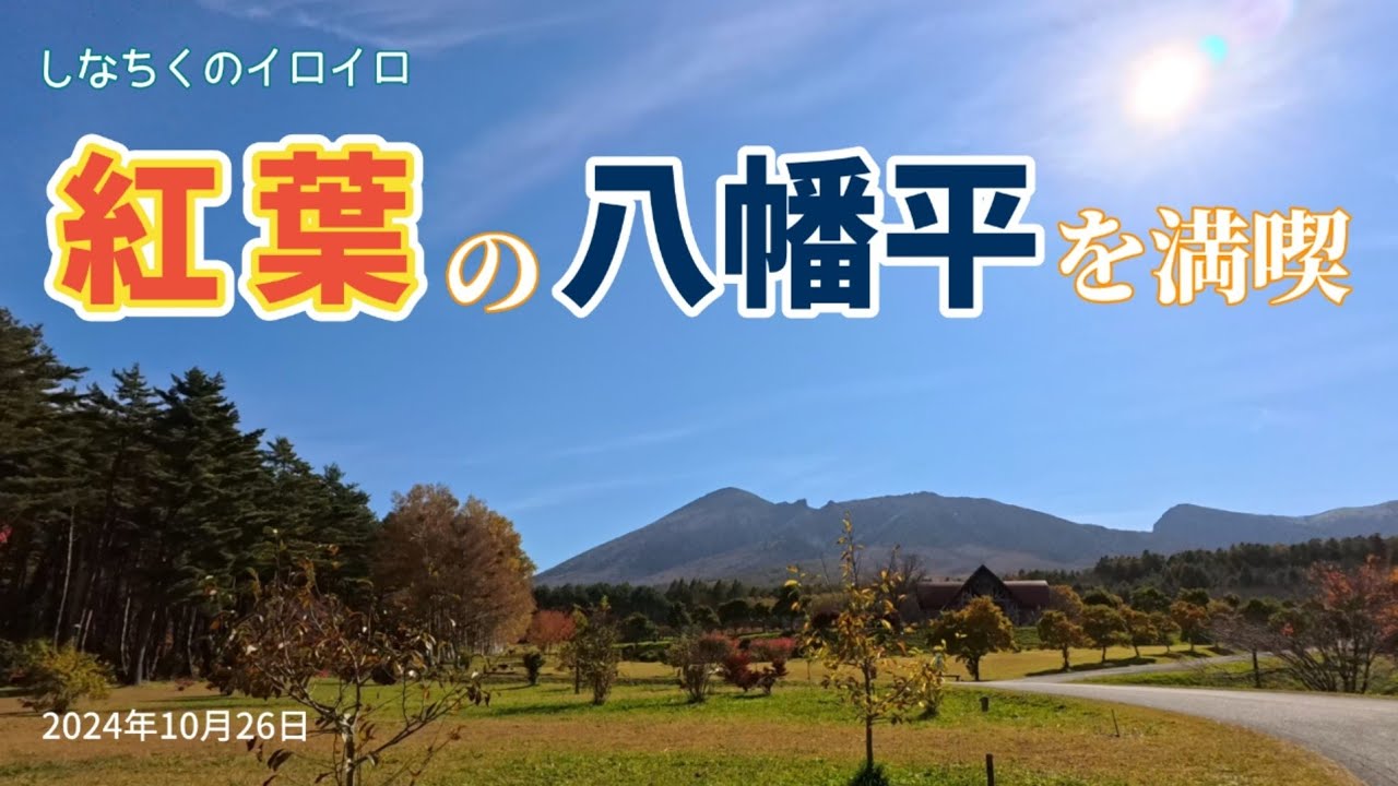 紅葉の八幡平を満喫してきました！（2024/10/26） - Ciao Nihon