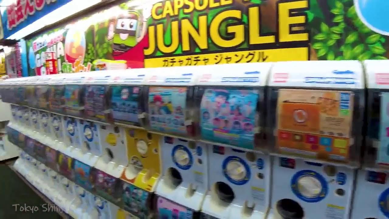 🔴Tokyo Walk 24/7🐶Ikebukuro, Shinjuku, Akihabara, etc. - Ciao Nihon