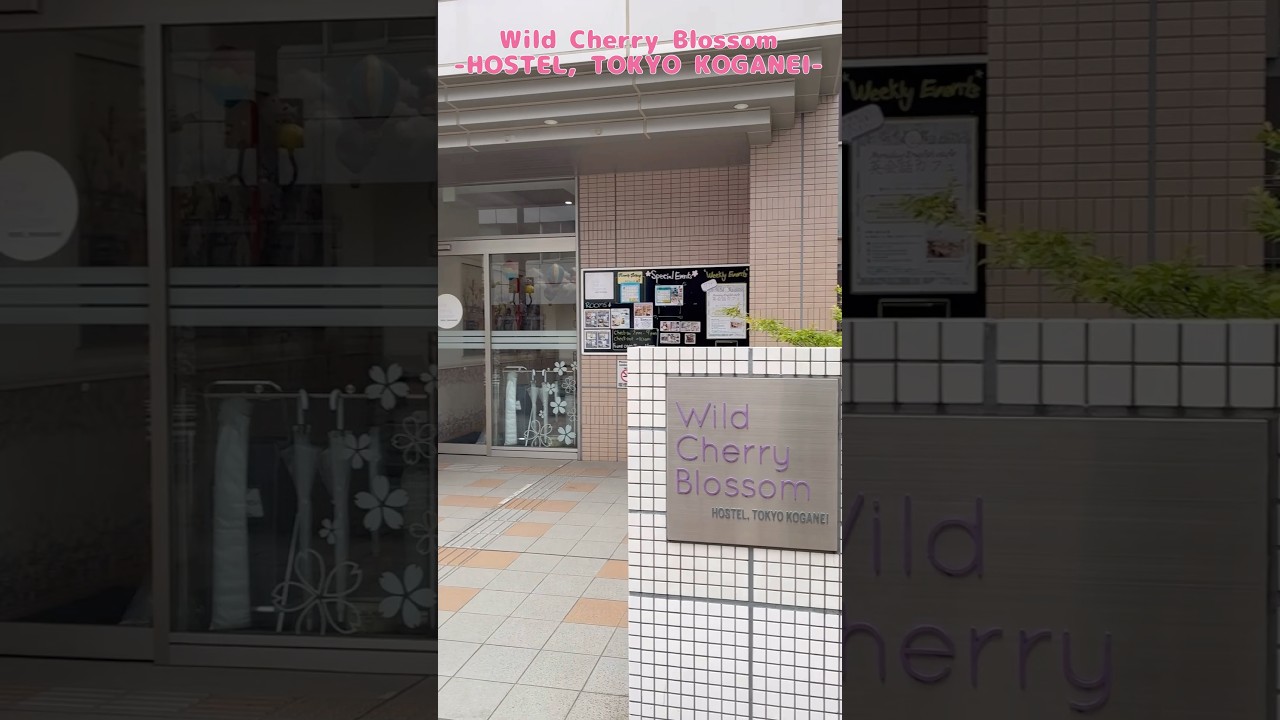 Wild Cherry Blossom -HOSTEL, TOKYO KOGANEI-は、小金井の中心に位置し、もう一つの東京｢多摩｣で過ごす ...