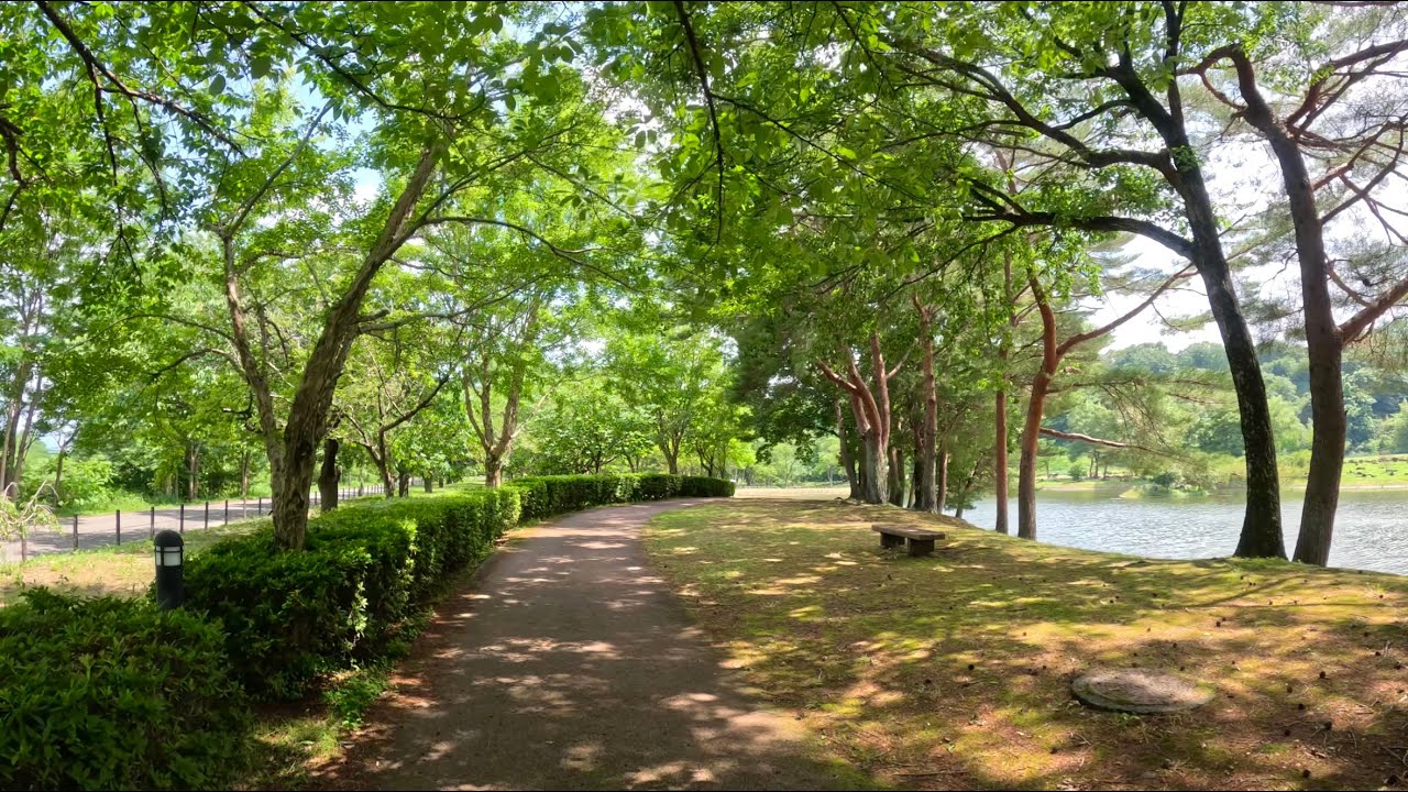 Japan 4K Walking Tour | Calming Walk Through a Quiet Campsite - Ciao Nihon