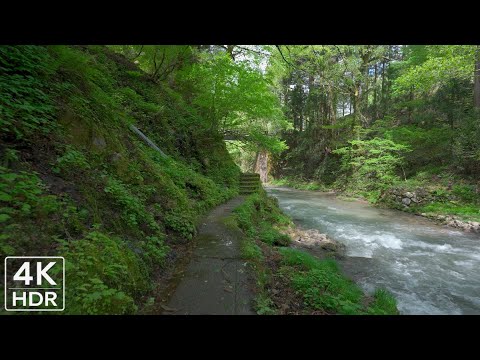 4K Japan Binaural Immersive Walk | Riverside Path in the Green Gorge ...