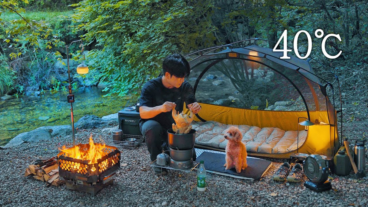 40℃ Cool Tent Camping with My Dog . Korean Baeksook & Kimchi . Wood Stove ASMR - Ciao Nihon