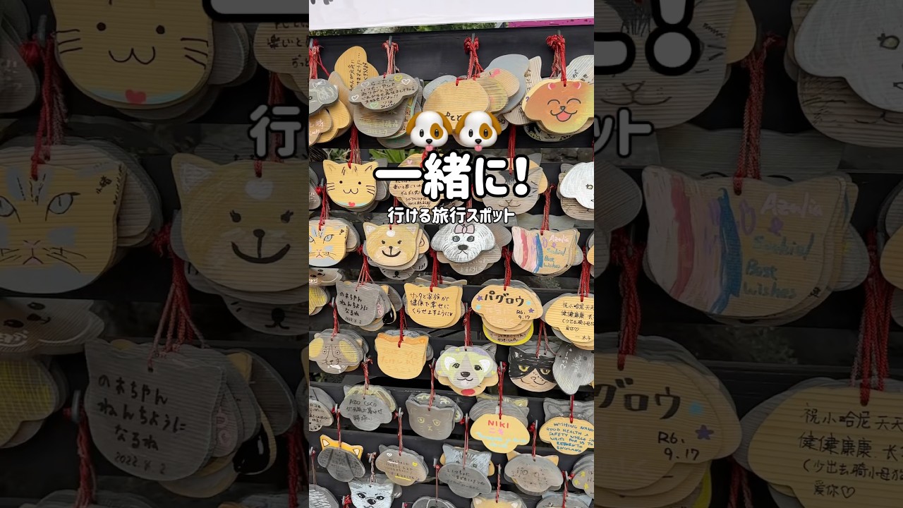 【家族旅行】静岡県・伊豆観光したら愛犬OKなスポットだらけだった！ランチやスイーツ、フォトスポットまで"おすすめ3選"を紹介！国内トリップだから一緒に行ける♡ #shorts - Ciao Nihon