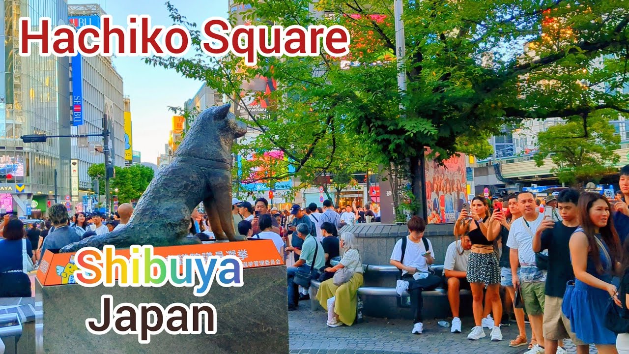 4K Shibuya Evening Walking Tour. Hachiko Square New Look. Japan. - Ciao ...