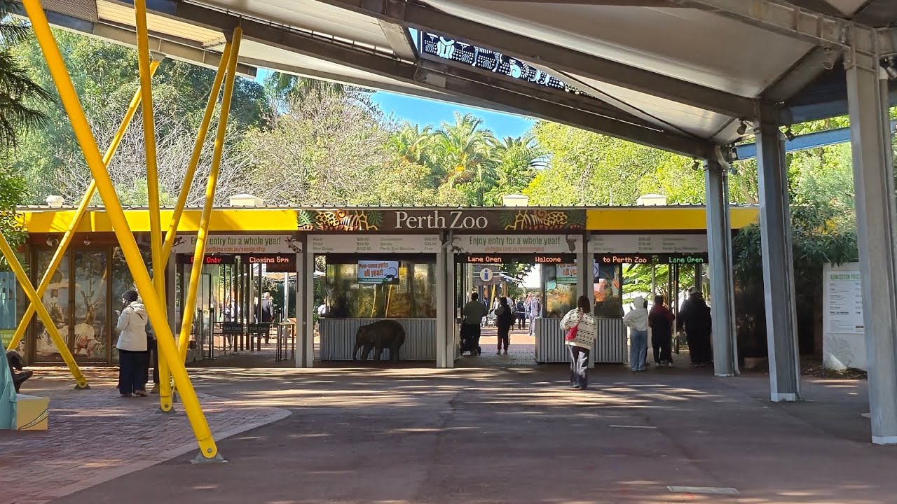 [Conservation Warriors Part 1] Vlog #2 A Day at Perth Zoo - Ciao Nihon