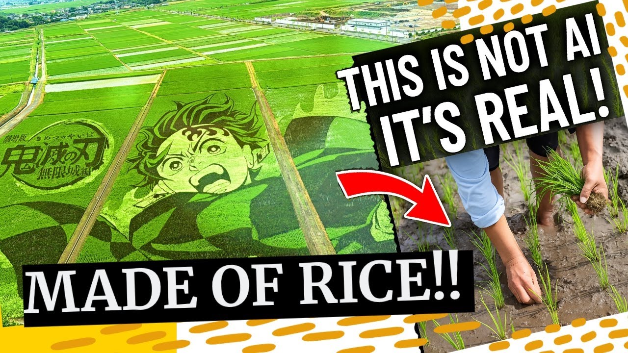 The World's Largest Rice Field Art 2025 行田田んぼアート - Ciao Nihon