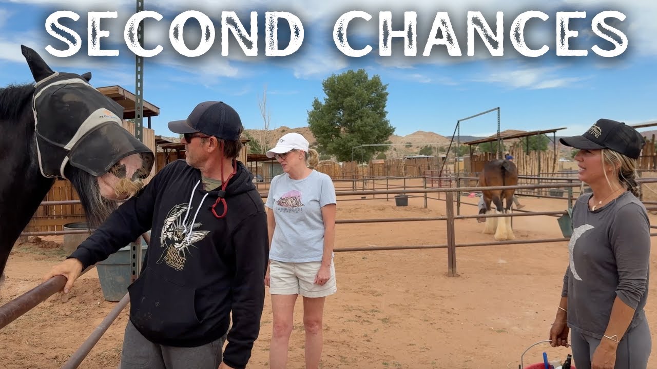 Paria River Ranch – Rescues, Camping & Horse Trails (Harvest Hosts ...