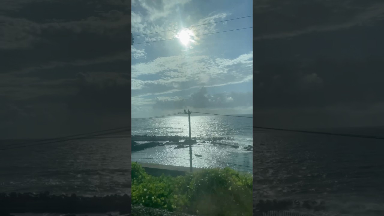 【乗り鉄】Japan Train Inaho 1 Niigata→Tsuruoka | Sea & Sun Scenic Ride 特急いなほ ...