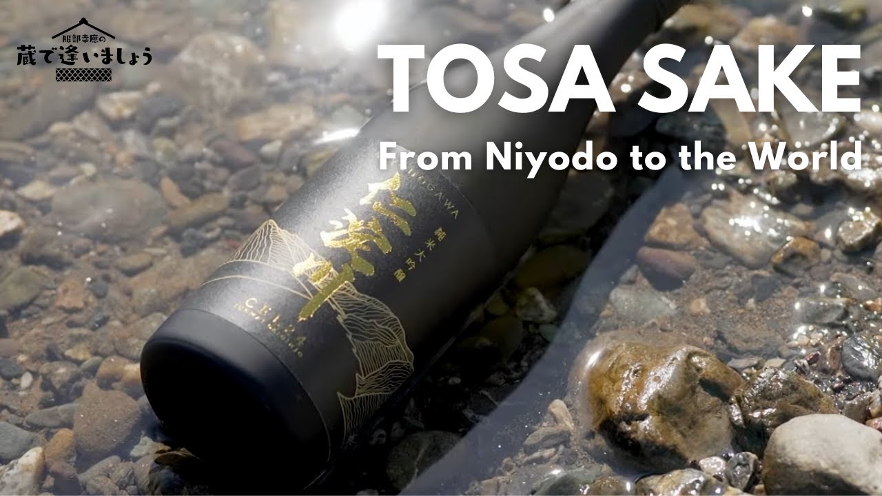 A Comeback for the Ages?! A Perfect Balance of Sake that even Sensei ...