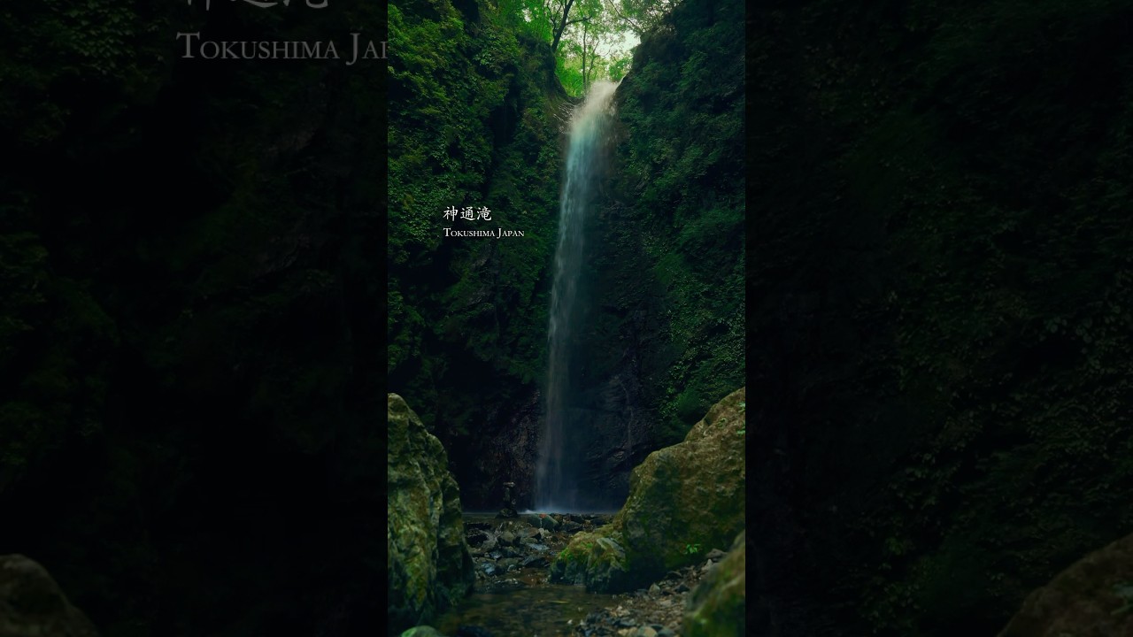 徳島の秘境に神様が通る神秘的な滝があった！ 神通滝 Jintsu Falls #shorts #travel #waterfall # ...