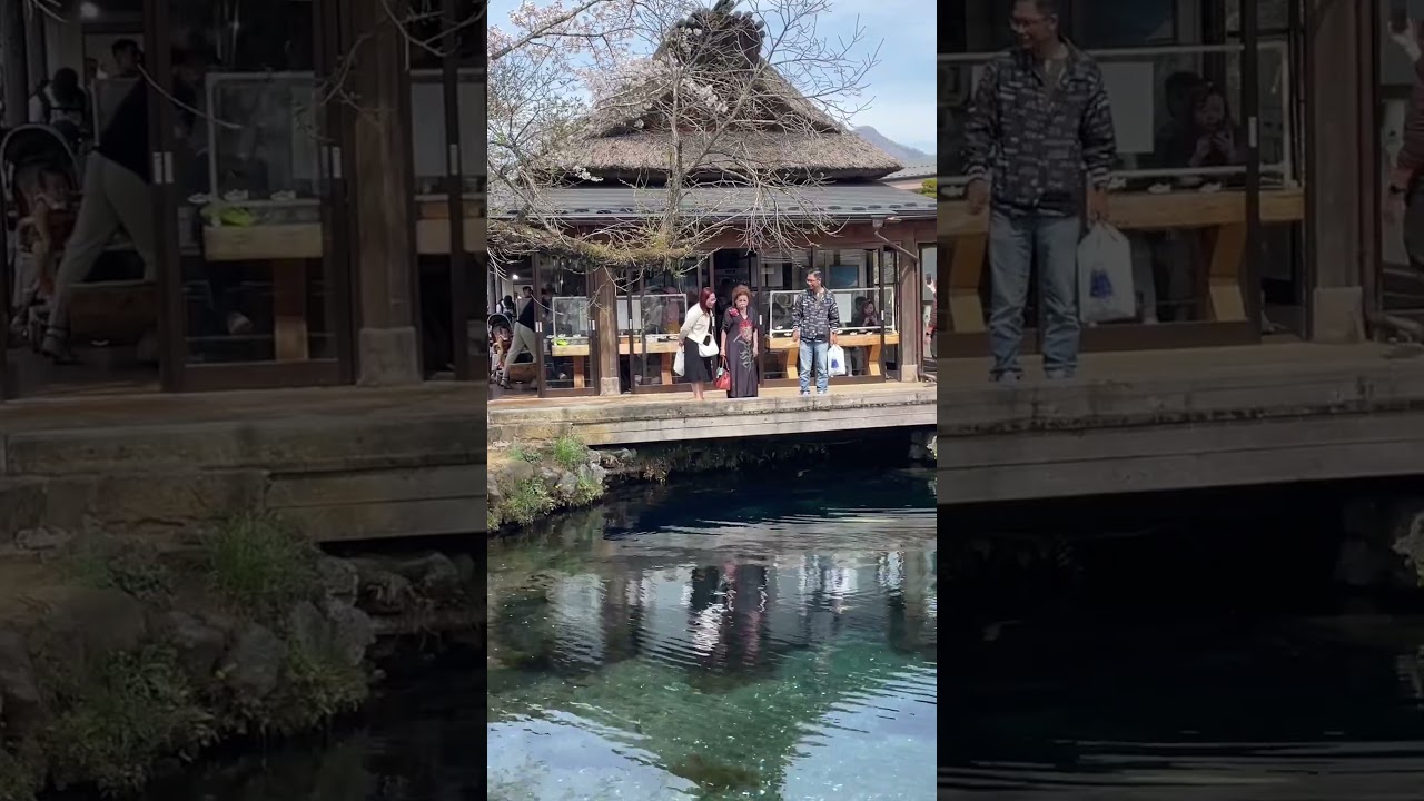 Oshino Hakkai, an idyllic little village at the foot of Mr. Fuji - Ciao Nihon