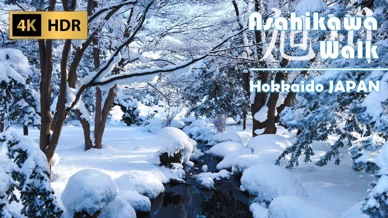 Snowy Walk Two Shrines in the New Year's Atmosphere in Asahikawa | Hokkaido | Japan | 4K HDR ...