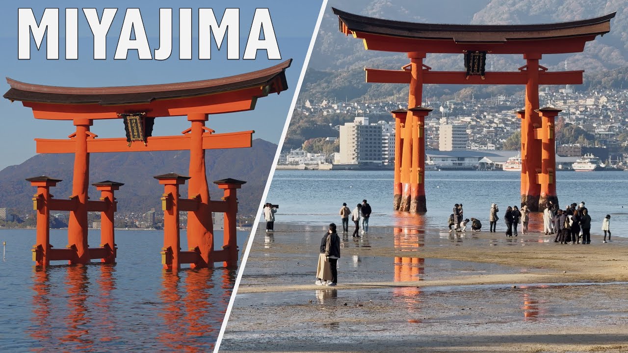 Miyajima Island Japan | Japan’s Sacred Island & Floating Torii Gate ...